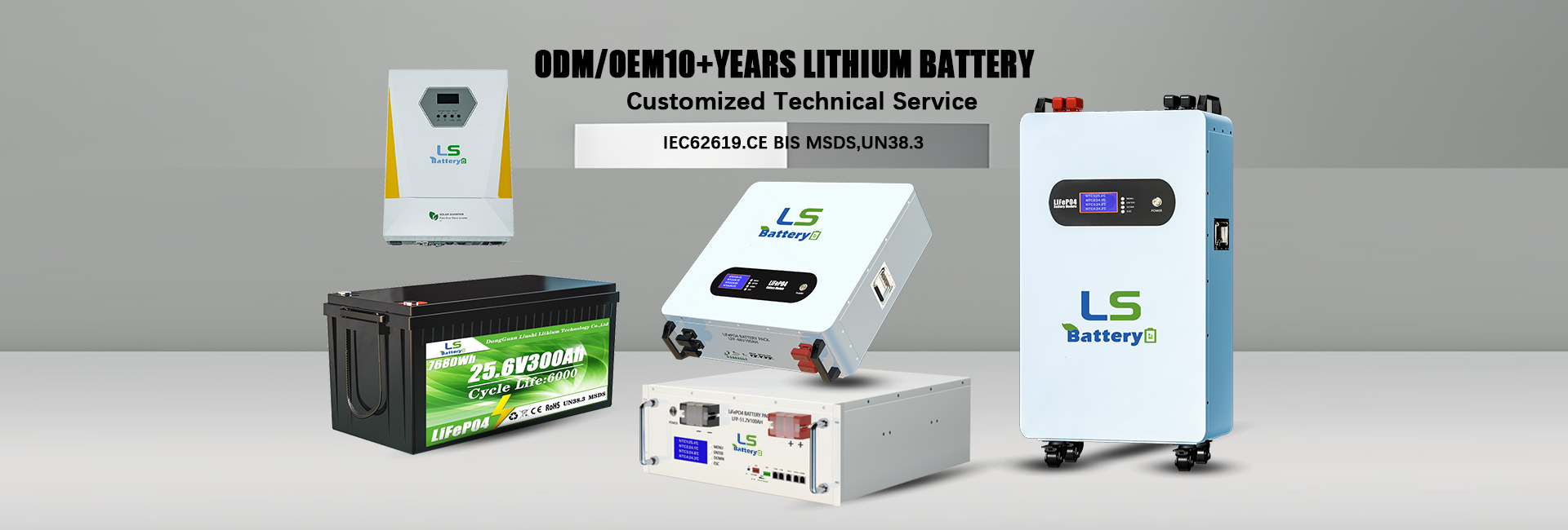 PIN LITHIUM LS BATTERY là loại pin lưu trữ cao cấp, nhập khẩu